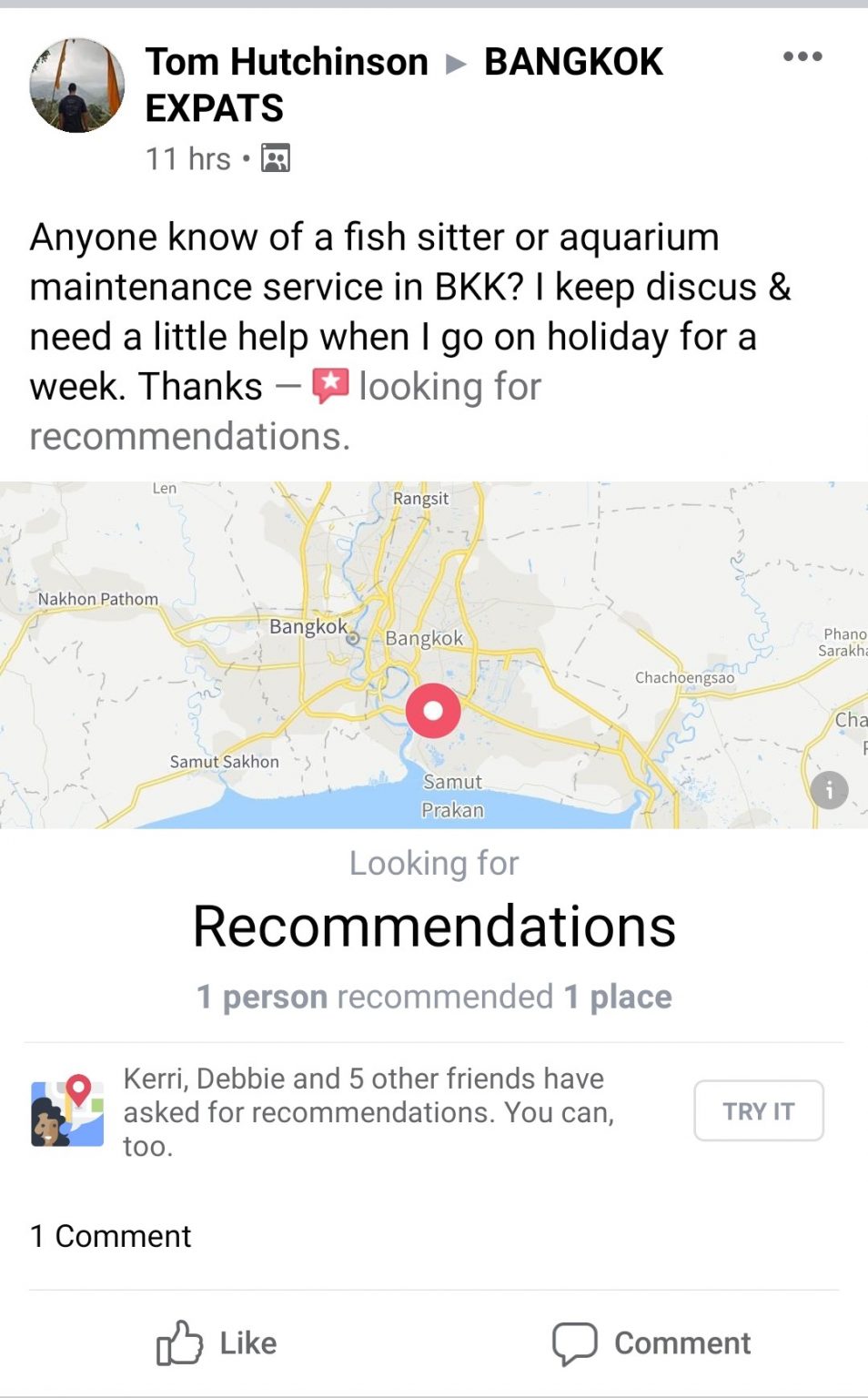 FISH SITTER WANTED - Chrome Crumpet